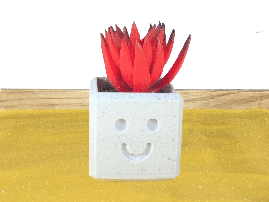 Smiley Face Flower Pot - Unique Cute Succulent Planter - Succulent Planters